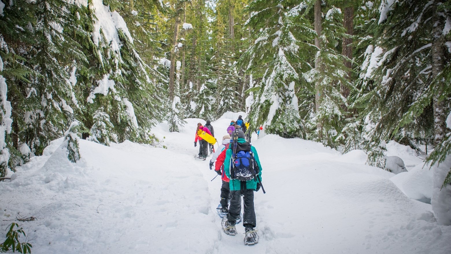 7 Fun Things To Do In The Snow Trackers Earth 7-fun-things-to-do-in-the-snow-trackers-earth