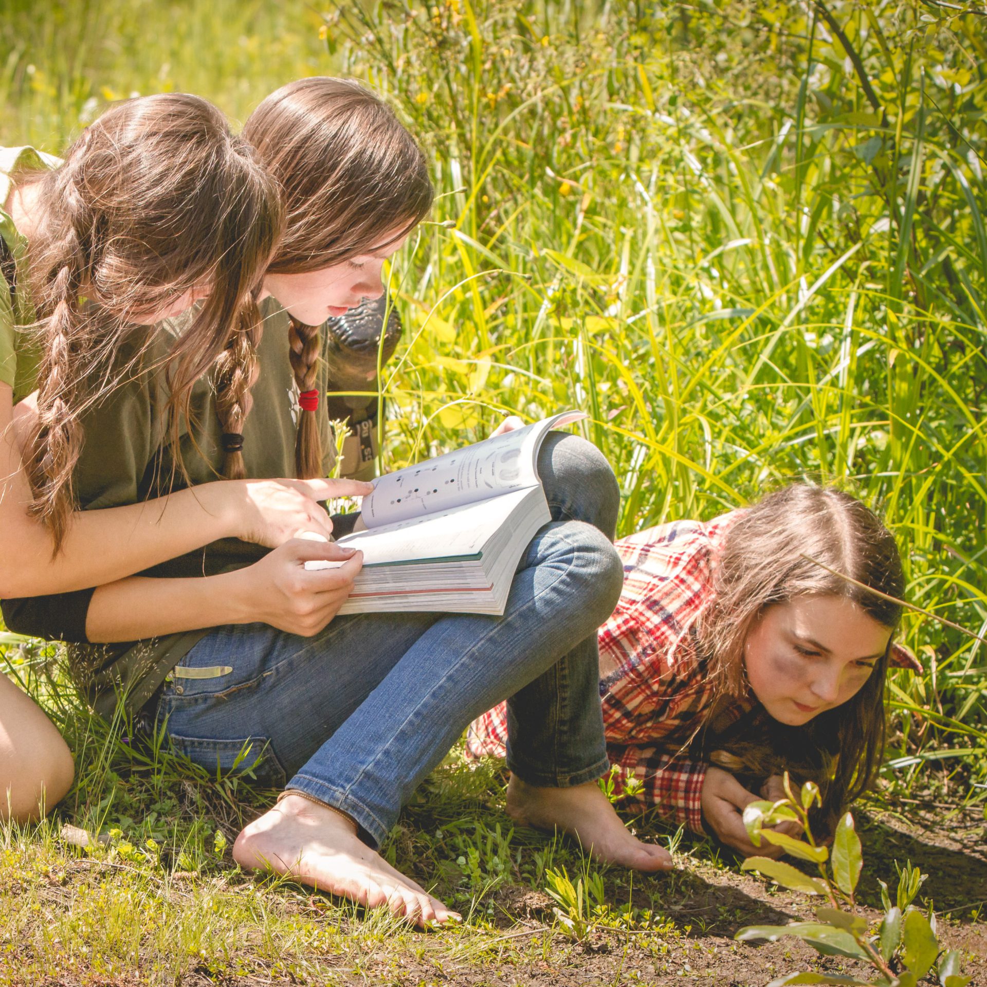 Who are You? Learn to Identify Tracks - Trackers Earth