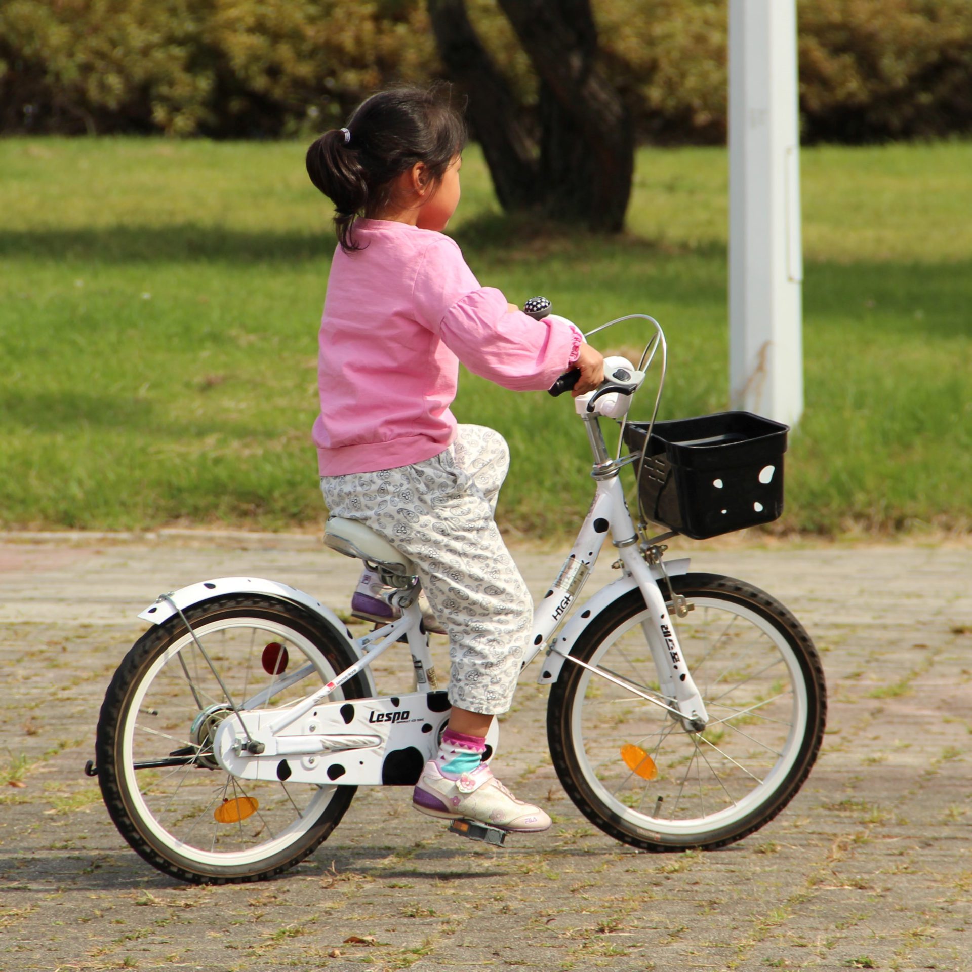 Trackers Portland Summer Catalog 2022 - Trackers Earth