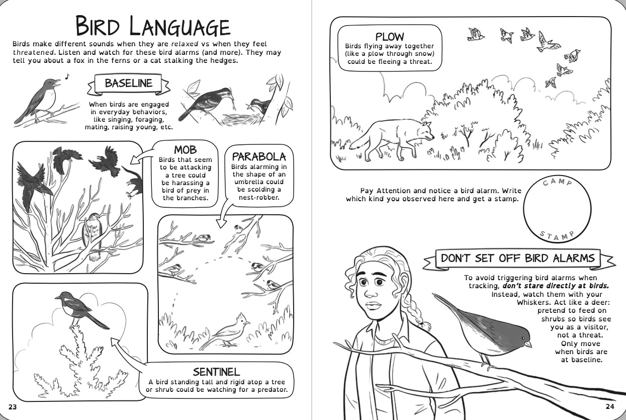 Trackers Earth - Outdoor Adventure Learning Camps Online and In-Person